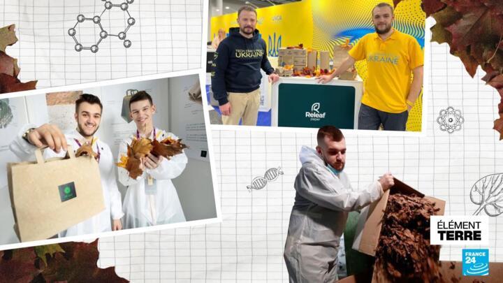 L'ONU prévoit la fin des coraux dans le monde d'ici 10 à 50 ans - Élément Terre, le reportage ...